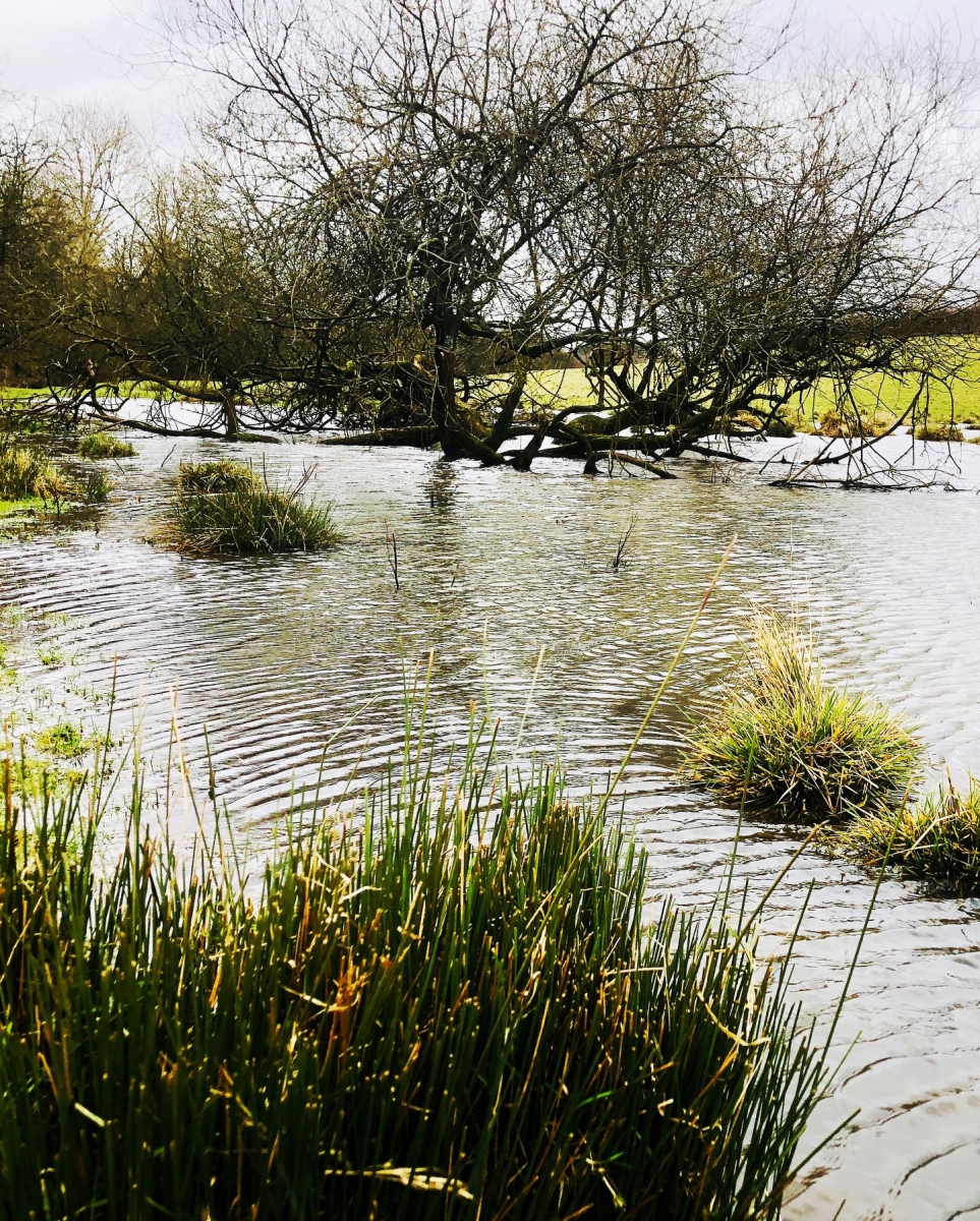 Research: The River Erewash – Richard Hyde